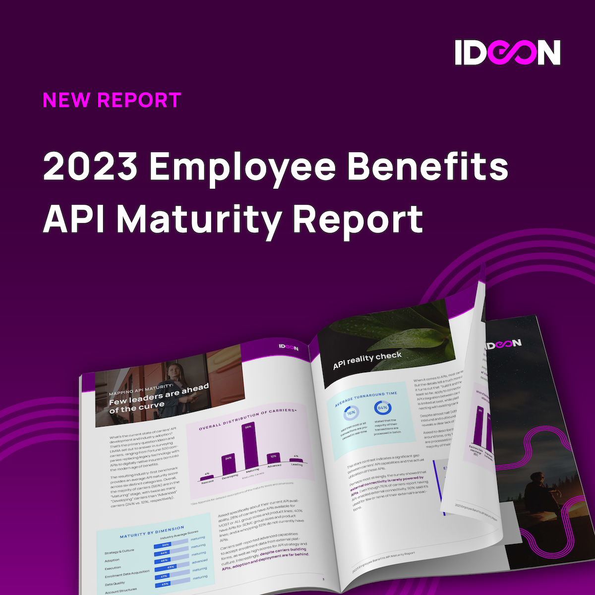 Ideon: The 2023 Employee Benefits API Maturity Report